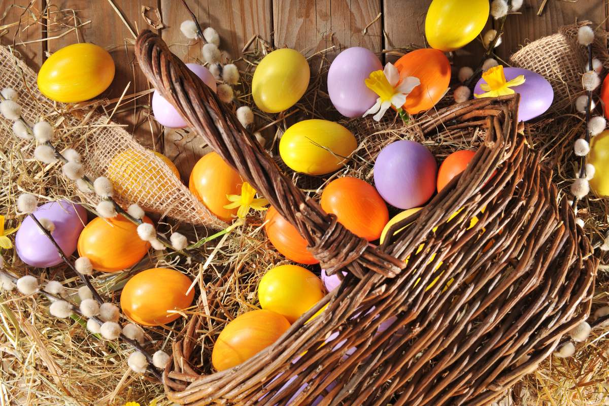 Chasse aux oeufs : mode d'emploi